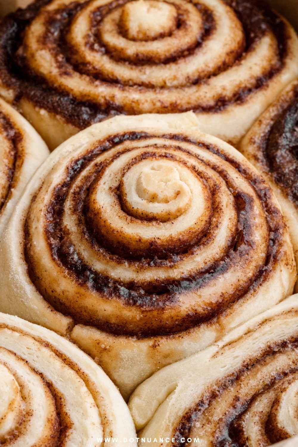 THE BEST-EVER HOMEMADE CINNAMON ROLLS - Dotnuance